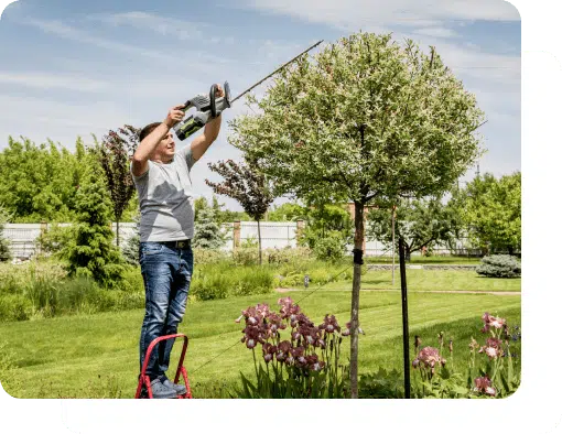 Tree Care - Miller & Sons Tree Service